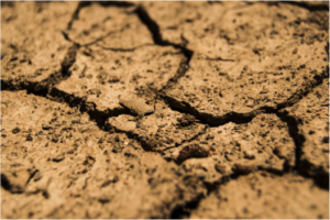 The 4 Critical Qualities of Effective Ground Enhancement Materials (GEM ...