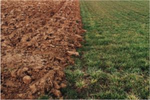 The Pros and Cons of 4 Common Ground Rod Materials | nVent