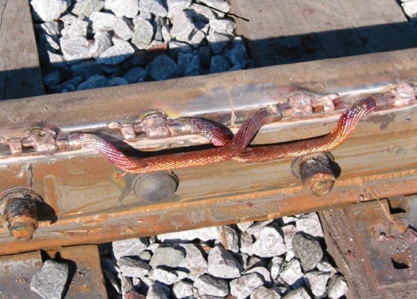 Three Ways nVent ERICO Cadweld Products Are Designed to Make ...